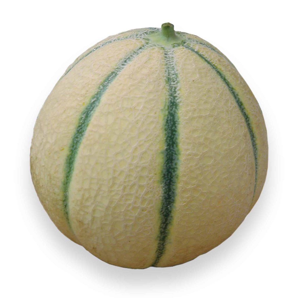Melone Retato - Finagricola